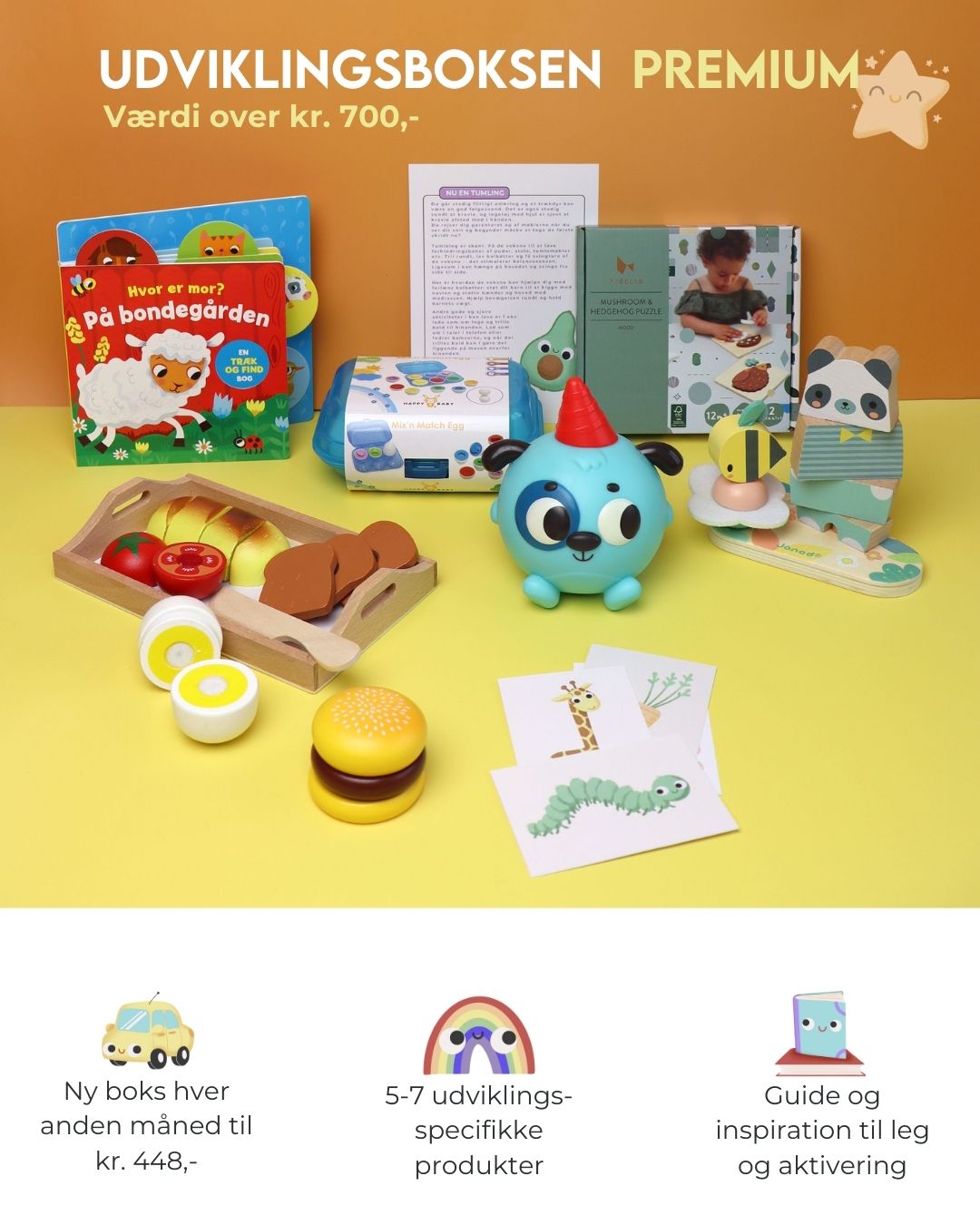 PREMIUM vs. Almindeligt medlemskab – LittleUnBox